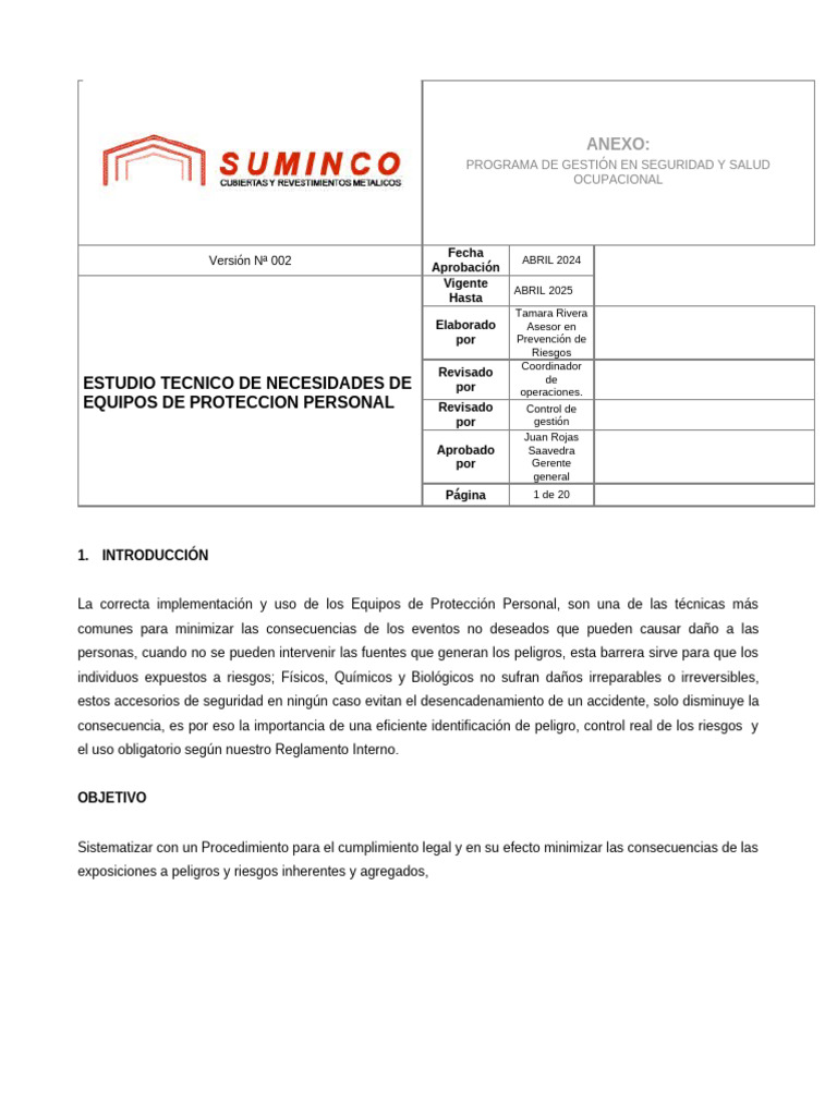 Estudio de Necesidades de EPP 2024 | PDF | Seguridad y salud ...