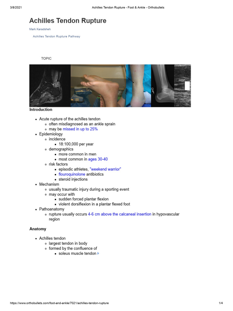 Achilles Tendon Rupture - Foot & Ankle - Orthobullets | PDF | Foot | Ankle