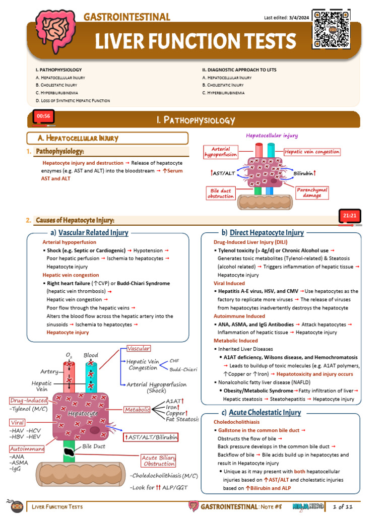 8• Liver Function Tests [Notes] | PDF | Liver | Hepatitis