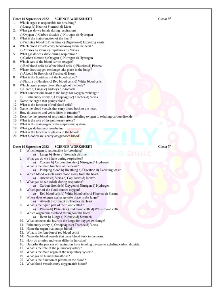 Class 5th Science - 10 - 09 - 24 - Worksheet | PDF | Respiratory System ...