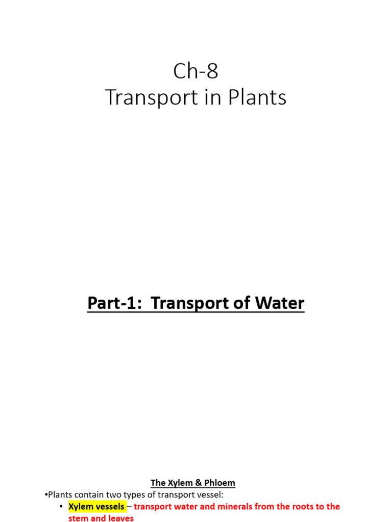 Ch-8 - Transport in Plants | PDF | Root | Plant Stem