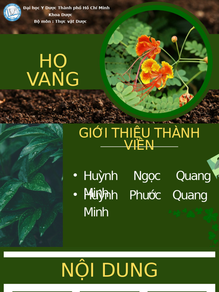 22. Phân họ Vang | PDF