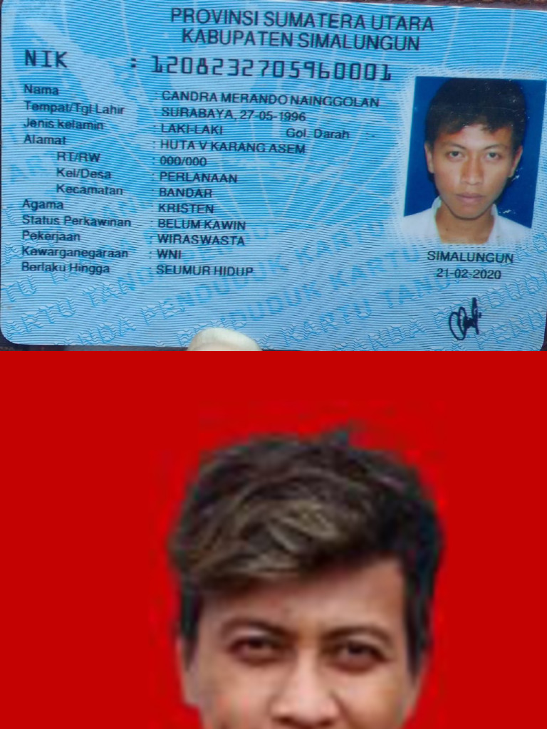 CV Candra Merando Nainggolan | PDF