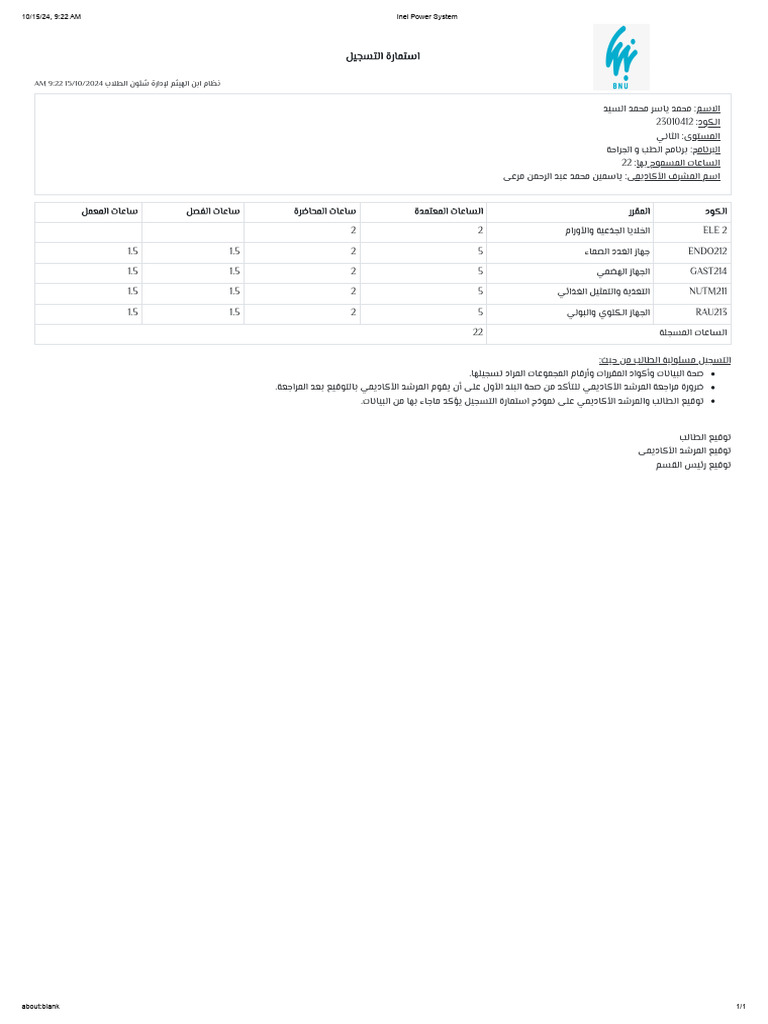 Inel Power System | PDF