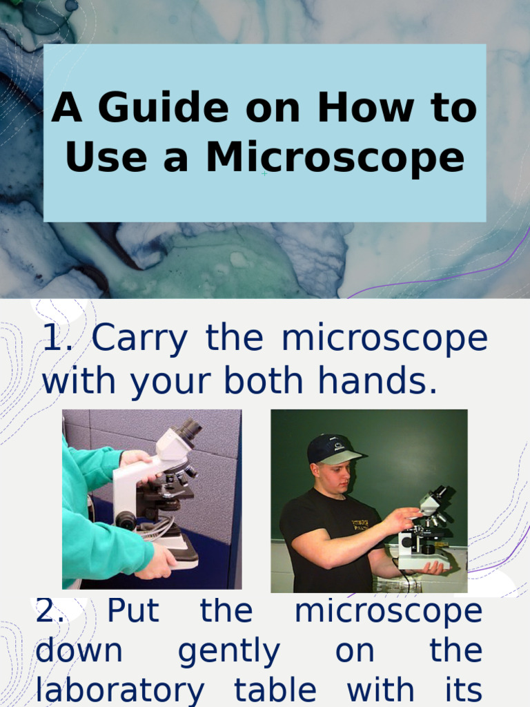 How To Use A Microscope | PDF