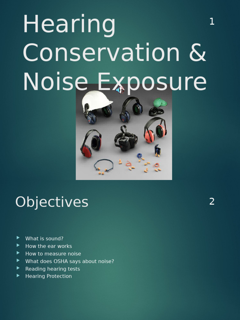 Hearing Conservation and Noise Safety Guide | PDF | Decibel | Hearing