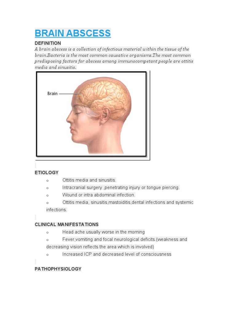 Brain Abscess | PDF | Traumatic Brain Injury | Human Brain