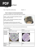API 20E Test System | PDF | Biochemistry | Chemistry