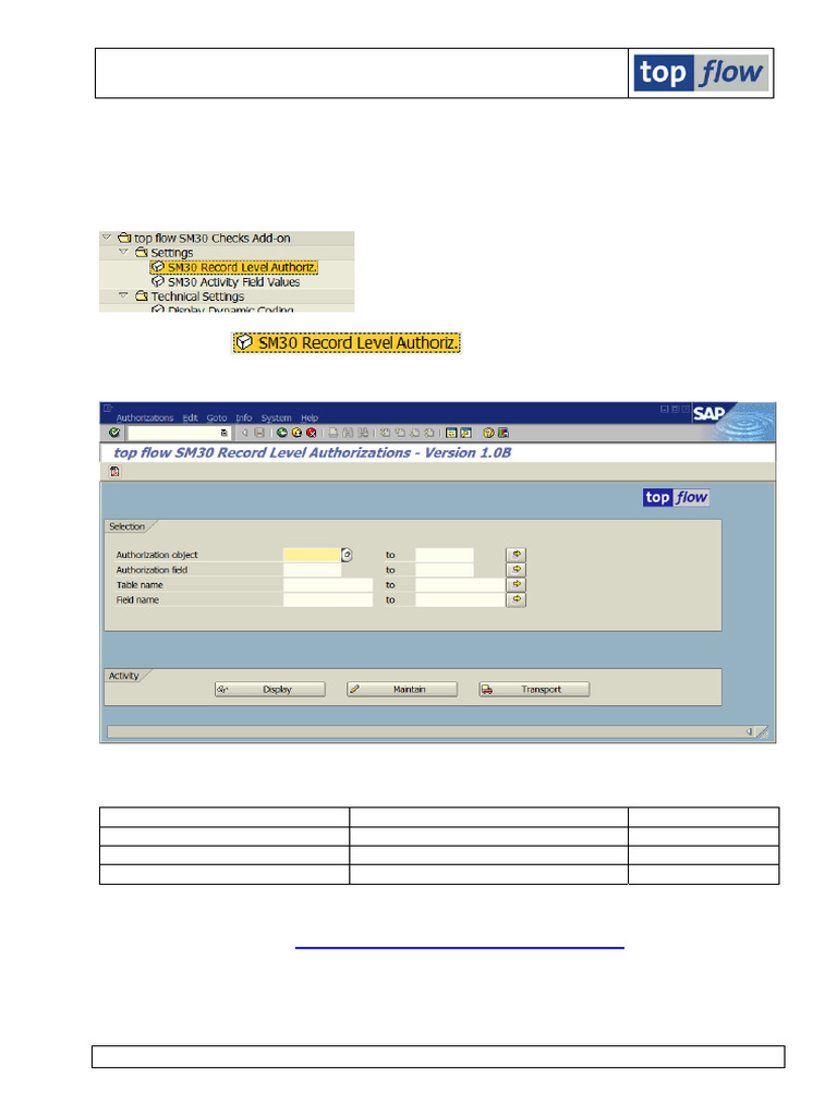 SM30_Authorizations_EN | PDF | Databases | Computer Science