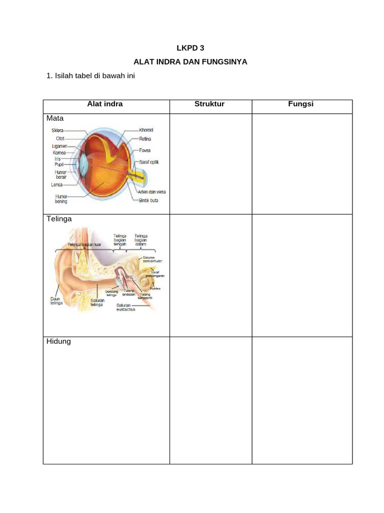 LKPD 3 Indra | PDF