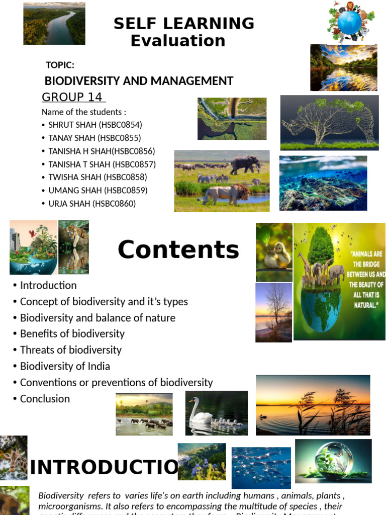 Presentation PPT Biodiversity | PDF | Biodiversity | Ecology