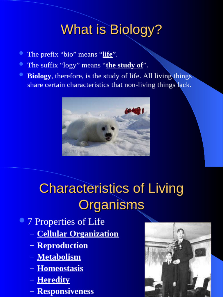 Scientific Method | PDF | Biology | Experiment