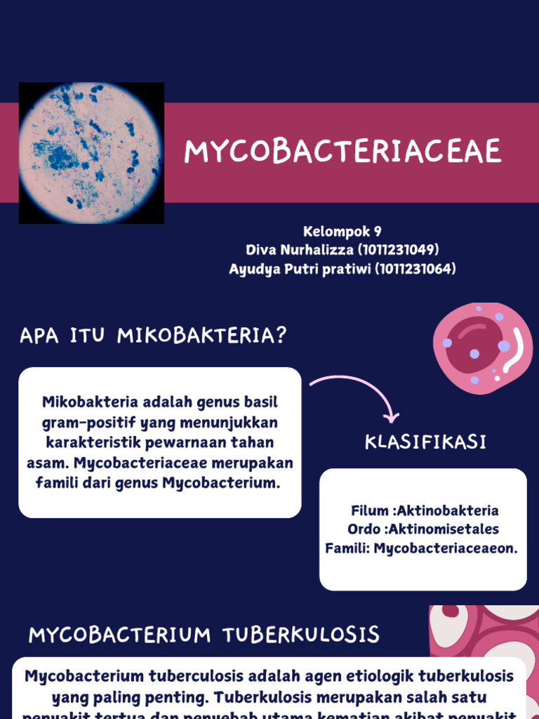 Mycobacterium KLMPK 9 | PDF