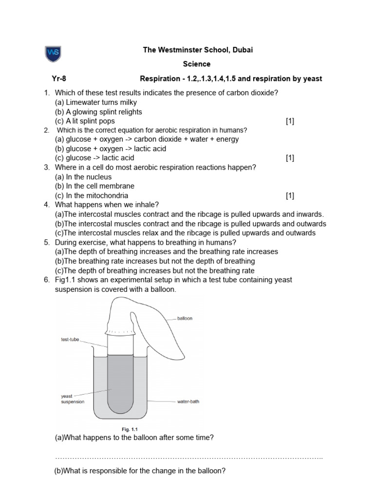 Yr - 8 - Respiration - 1.2.1.31.41.5 and Respiration by Yeast | PDF