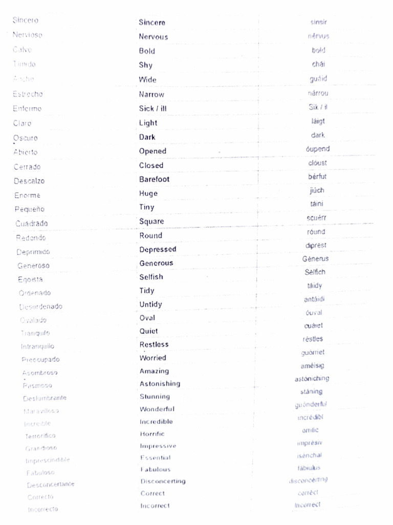Adjectives | PDF