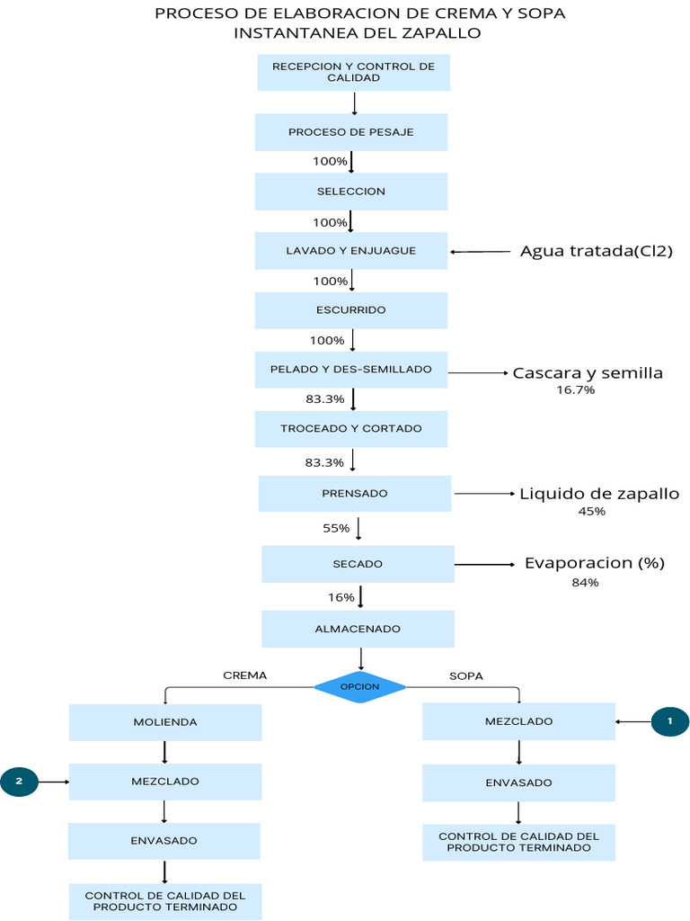 PROCESO DEL ZAPALLO FLUJO MASICO | PDF