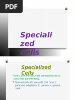 Specialised Animal Cells - Living Organisms - KS3 Biology - BBC ...