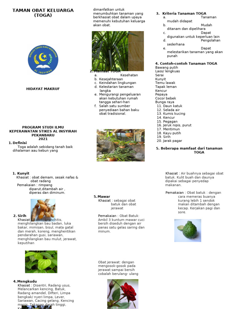 Panduan Praktis Taman Obat Keluarga | PDF