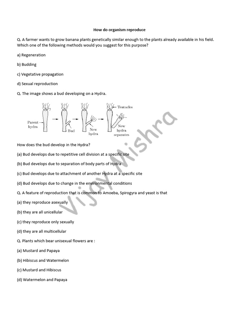 Understanding Reproductive Methods in Organisms | PDF | Reproduction ...