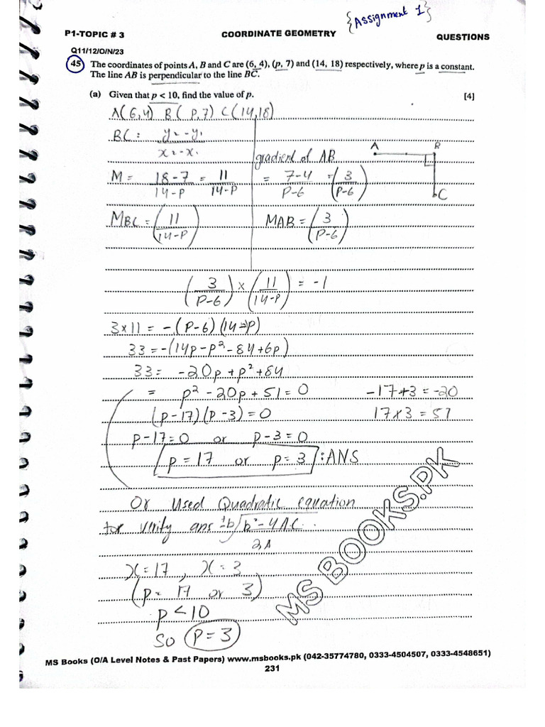 maths assignment 1- Rayan Ahmad CH | PDF