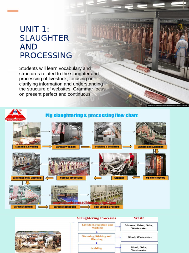 Unit 1 Slaughter and Processing | PDF | Slaughterhouse | Carbon Footprint