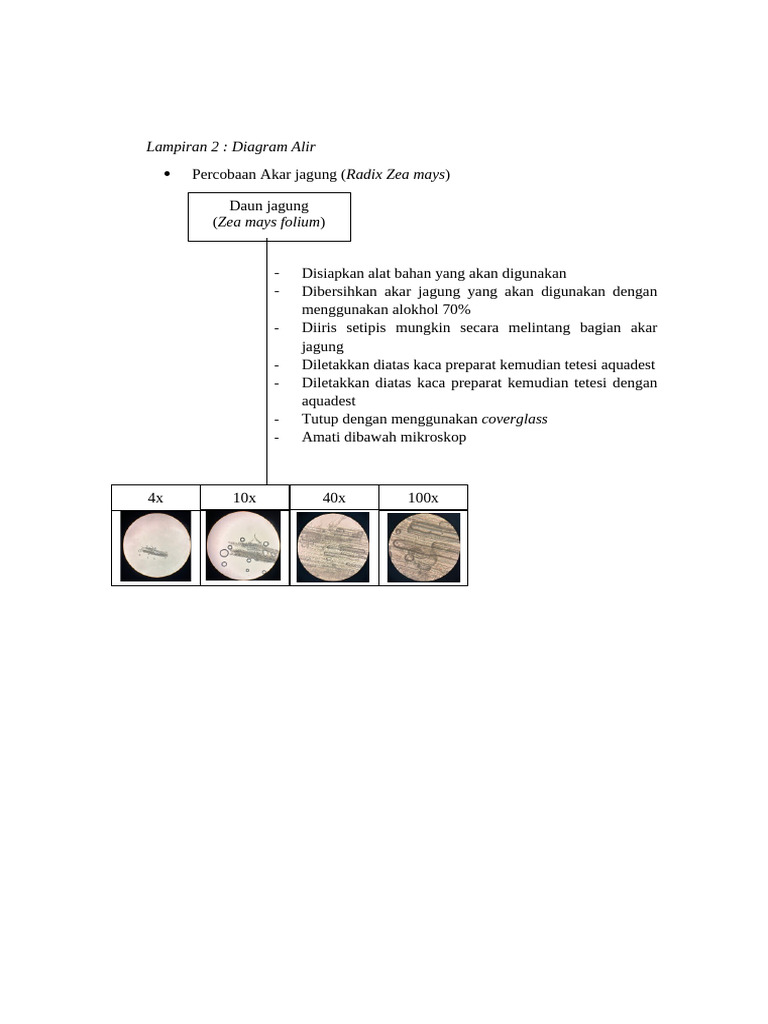 lampiran 2 pc7[1] | PDF