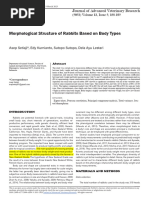 Rabbit Size-O-Meter Weight Guide | PDF | Obesity | Dieting