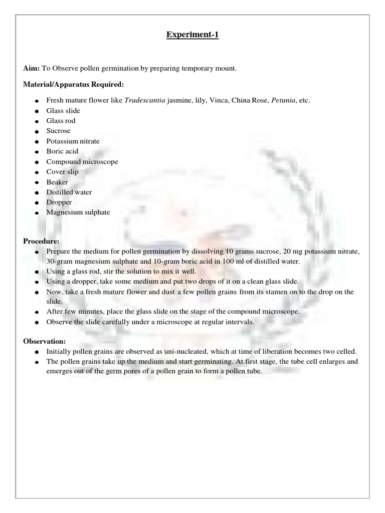 Bio Practicals 2024-25 Final | PDF | Meiosis | Zygosity