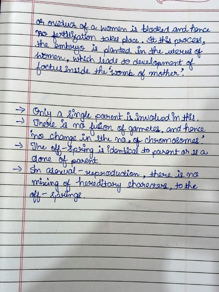 Adobe Scan Oct 25, 2024 | PDF