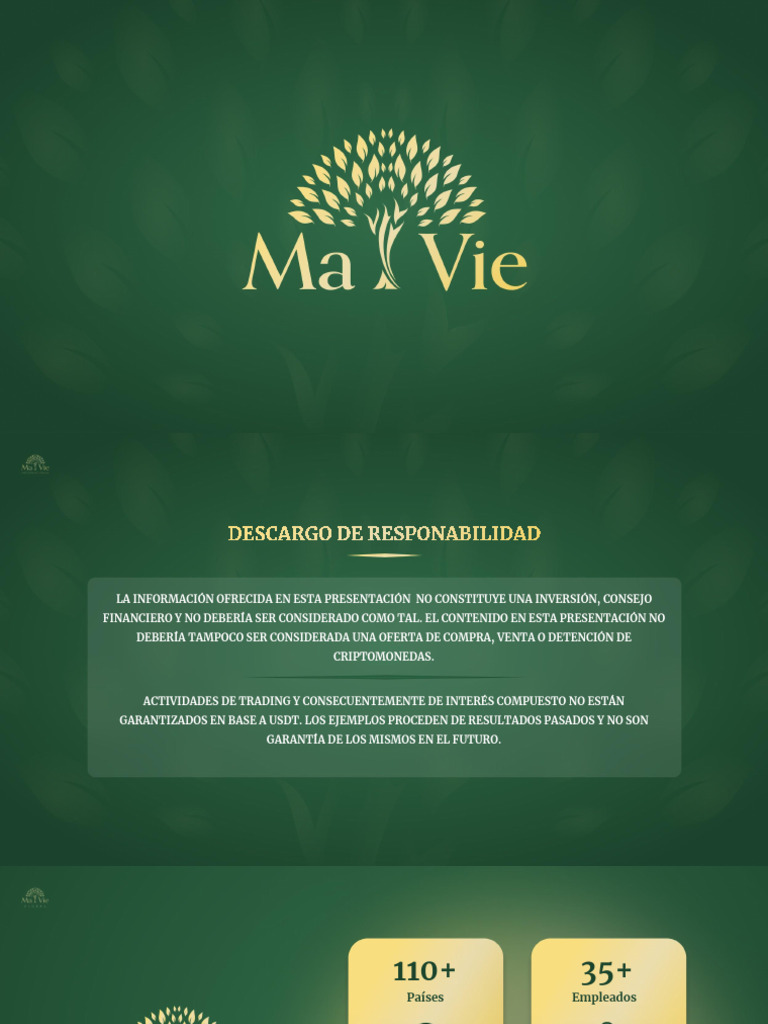 Mavie Presentation 3.10. - Spanish | PDF | Return On Investment ...