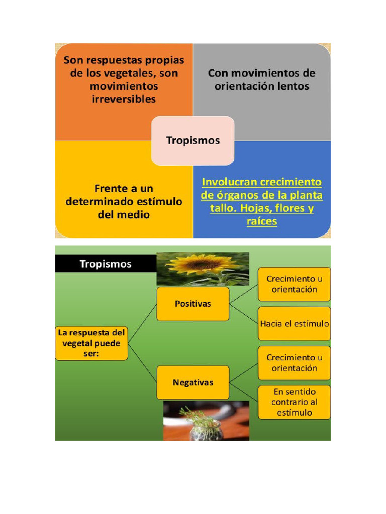 Tropismos y Taxismo | PDF