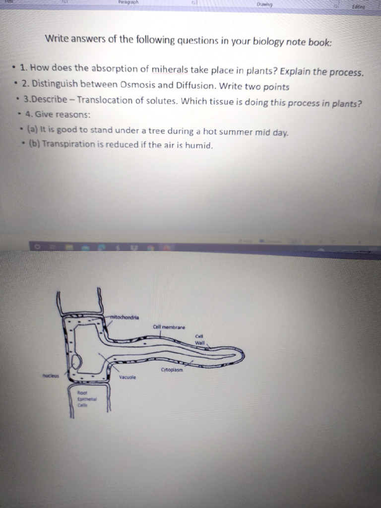 Bio Transport in Plants | PDF