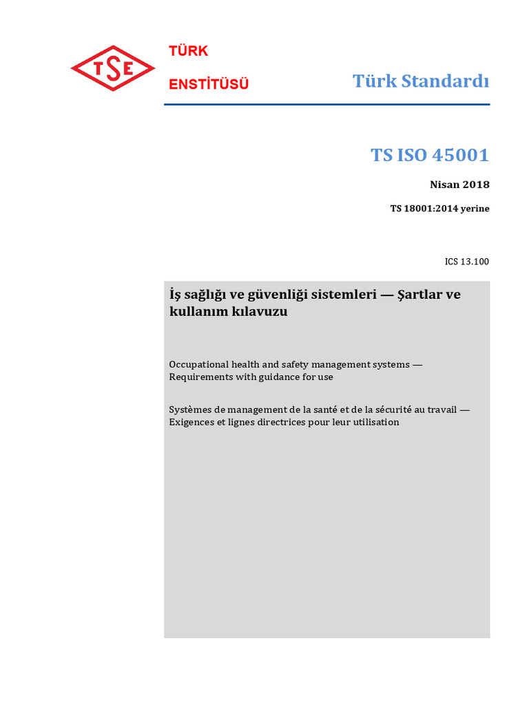 +TS - ISO - 45001-2018eski Rev | PDF