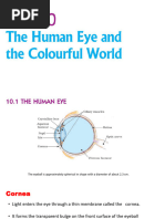Human Eye and Light Refraction Explained | PDF | Eye | Human Eye