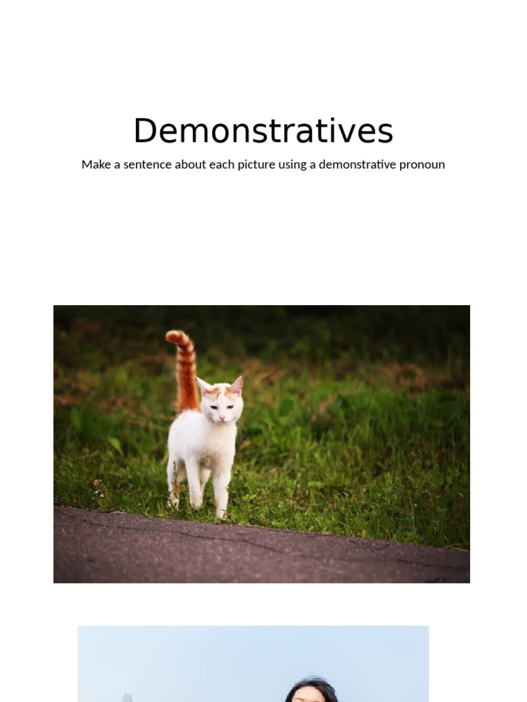 Demonstratives | PDF