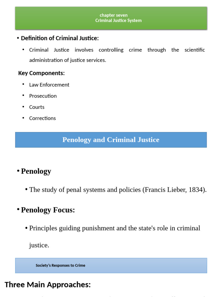 Overview of the Criminal Justice System | PDF | Rehabilitation ...