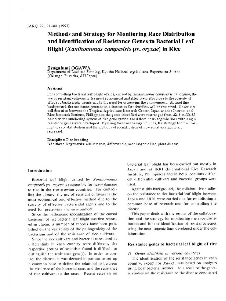 Ogawa 1993 | PDF | Rice | Botany