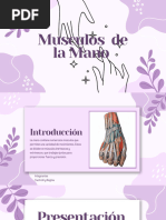 TABLA MUSCULOS de Mano | PDF | Mano | Sistema musculoesquelético