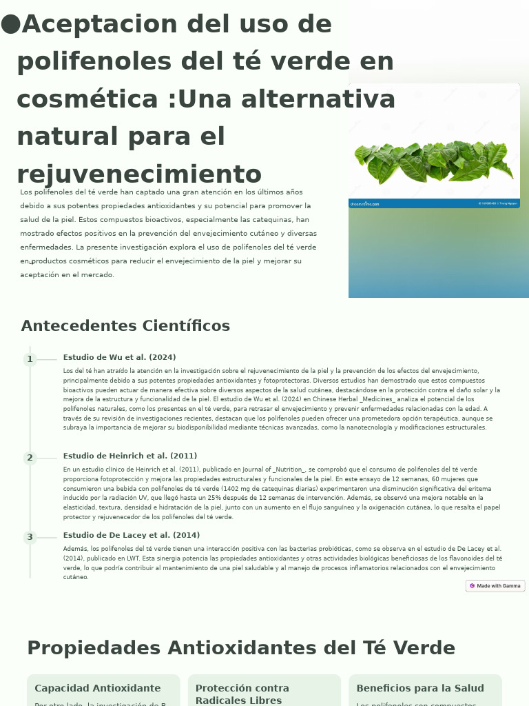 Polifenoles Del Te Verde Beneficios Antienvejecimiento en Cosmetica | PDF | Antioxidante | Té verde