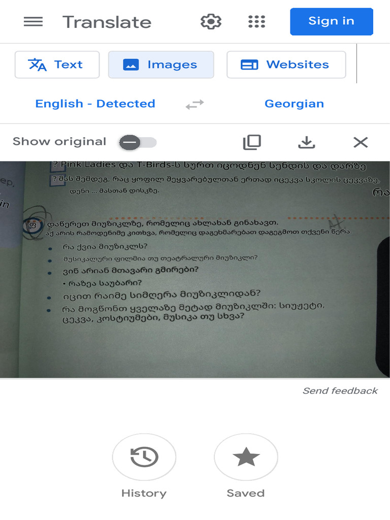 Google Translate | PDF