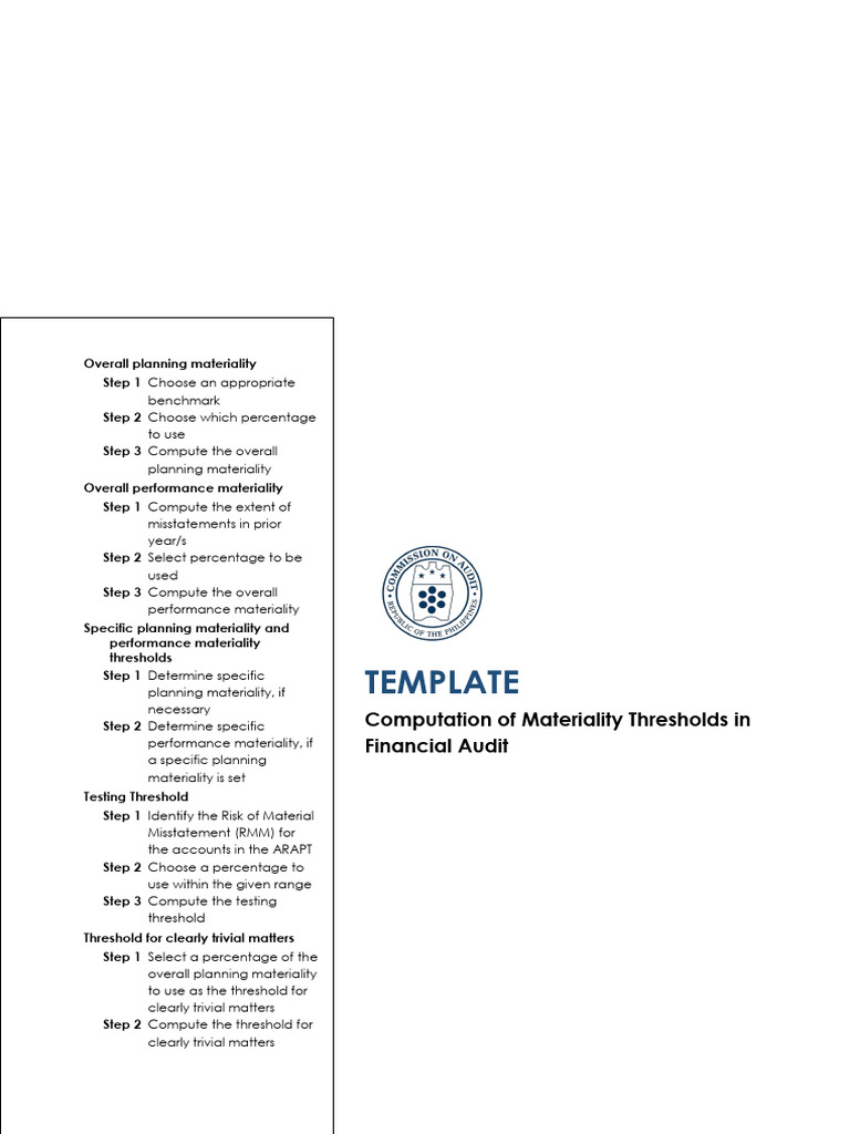 04 - Annex B - Accomplished Template | PDF | Financial Statement ...