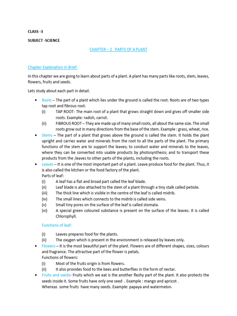 Class 3 Science Chapter 2 | PDF | Leaf | Plants