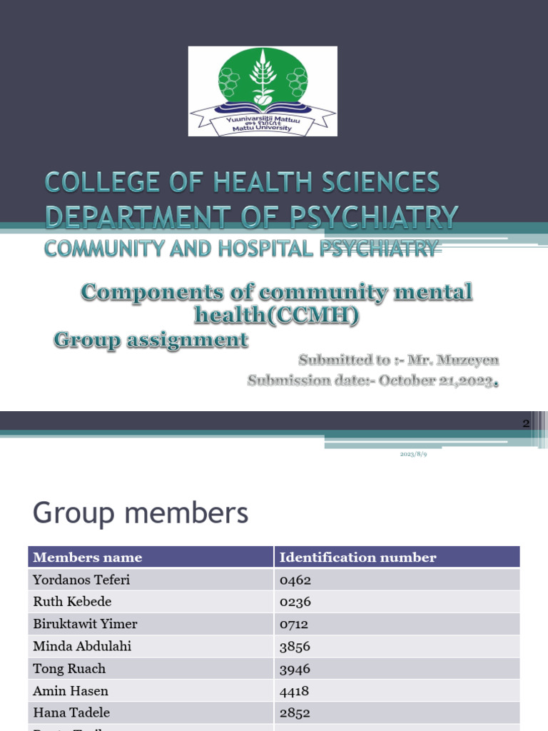 Group Three Assignment PDFF | PDF | Mental Health | Psychiatry