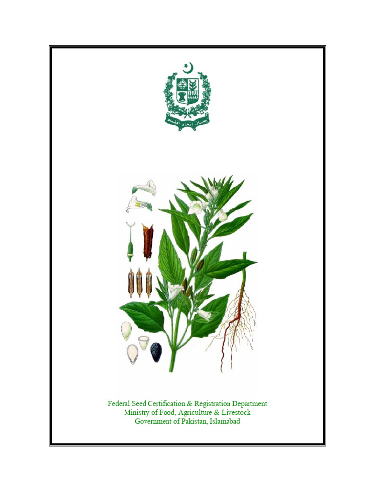 Sesame | PDF | Leaf | Plant Breeding
