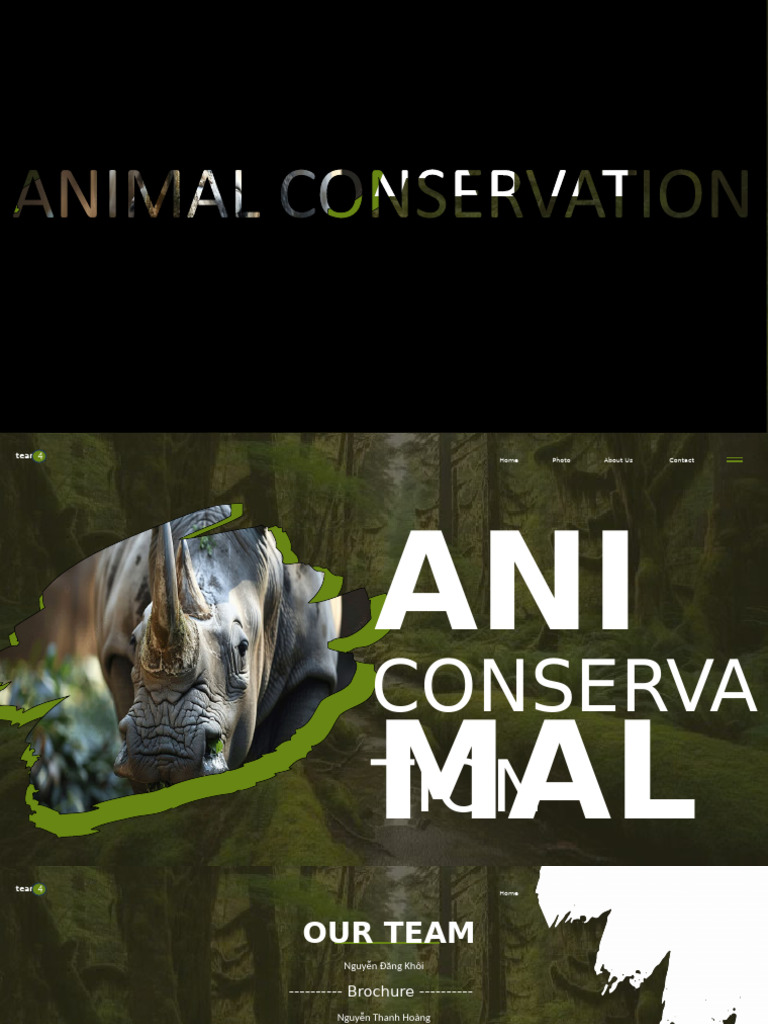nhóm 4 av2 | PDF | Rhinoceros | Poaching
