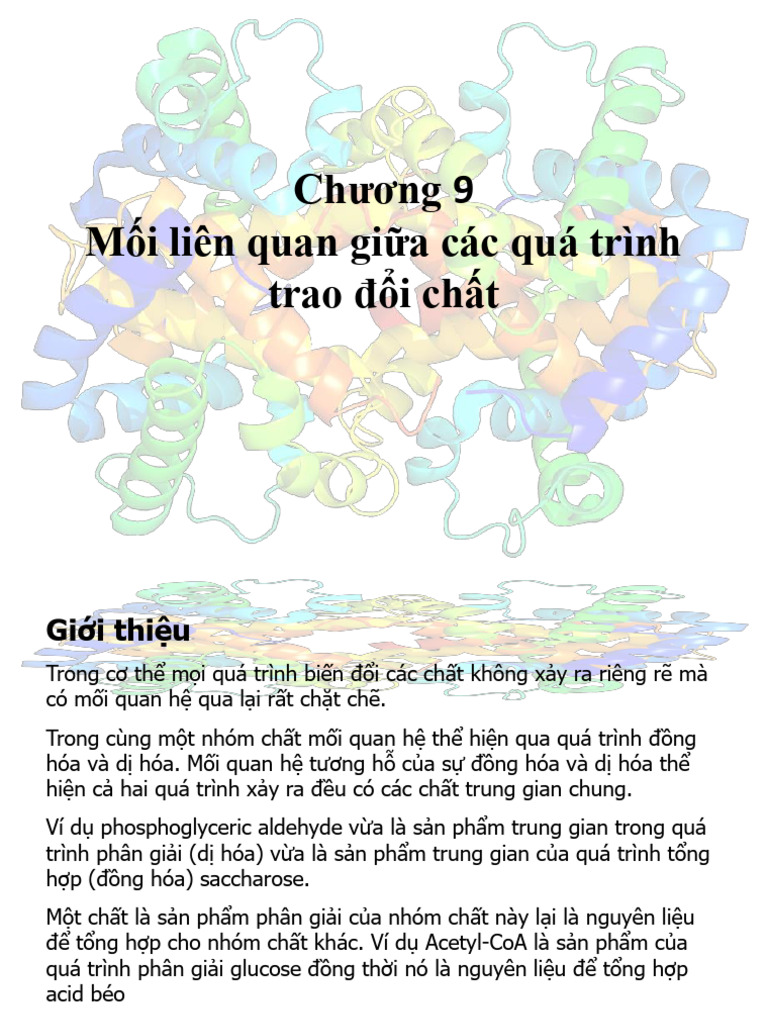 Sinh Hoa Chương 9 Moi Quan He Cac Qua Trinh Trao Doi Chat | PDF