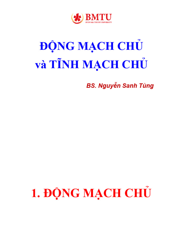 ĐM TM Chu | PDF