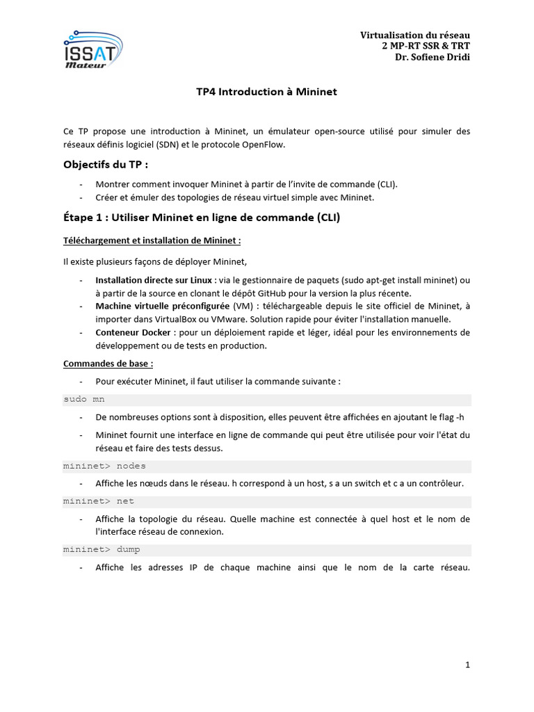TP4 Mininet | PDF | VMware | Informatique