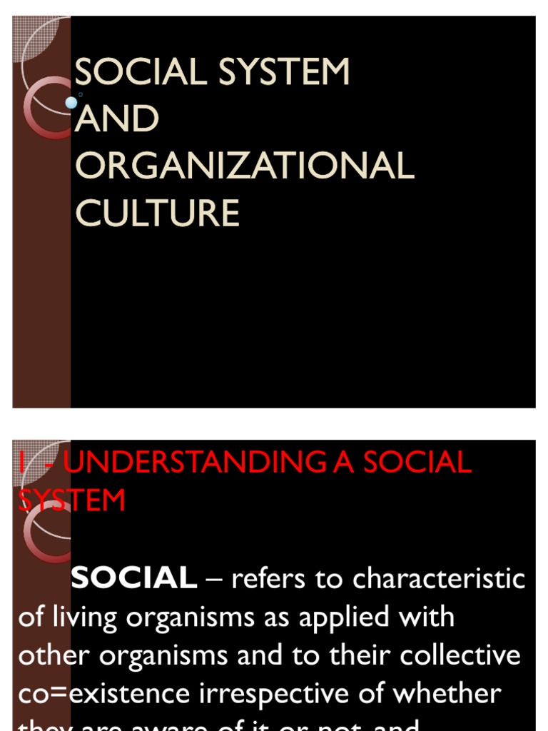 Social System and Organizational Culture PPP | PDF | System | Social Status