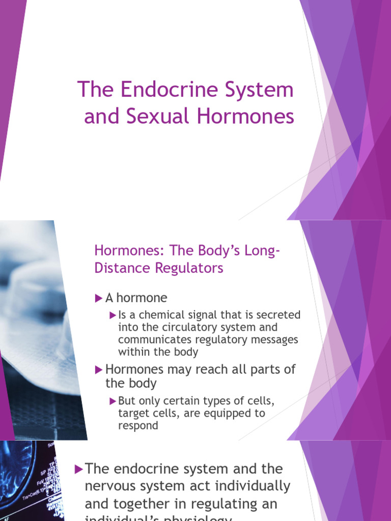 Endocrine and Nervous System Integration | PDF | Cell Signaling ...